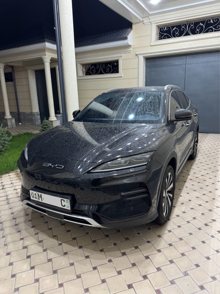 Byd Chempion 605 Full 2024