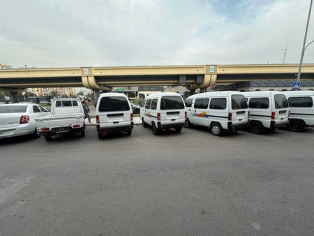 Damas halol nasiyaga TAYYOR