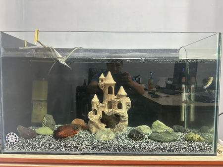 Akvarium sotiladi 150 160 litr atrofida
