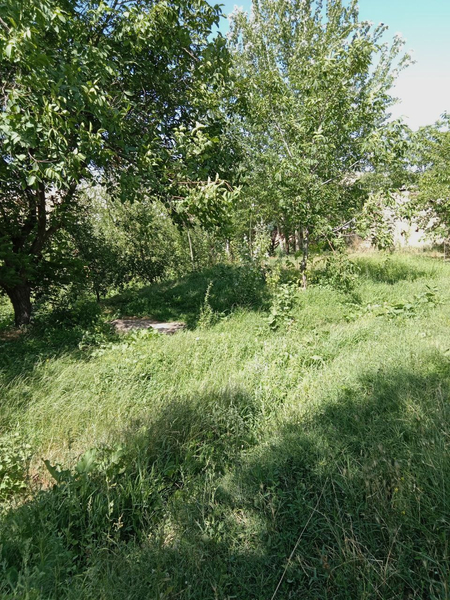 uy sotiladi maydoni kotta daraxtlar kop