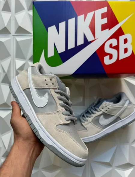 Nike Sb Dunk x low