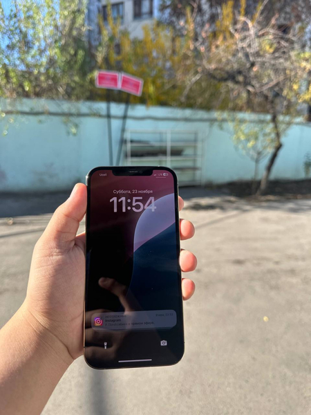 iphone 12 pro max LLA