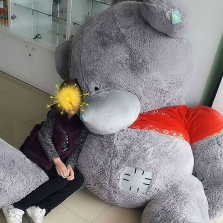 Teddi 1+1 Teddy Teddiy Tedi Теддй Тедди Eng Arzon Narxda