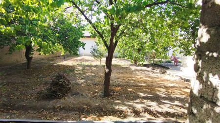 Продается дом 3 (сот.) Висол (улица) не далеко от Рисового базара