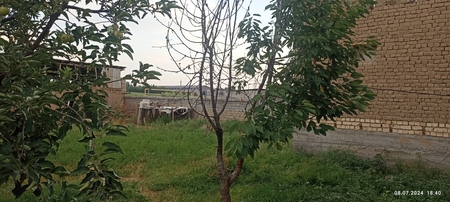 Hovli sotiladi 12 sotix