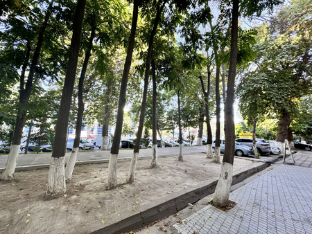 Сдается нежилое в центре