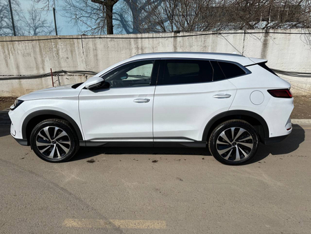 Byd champion 605