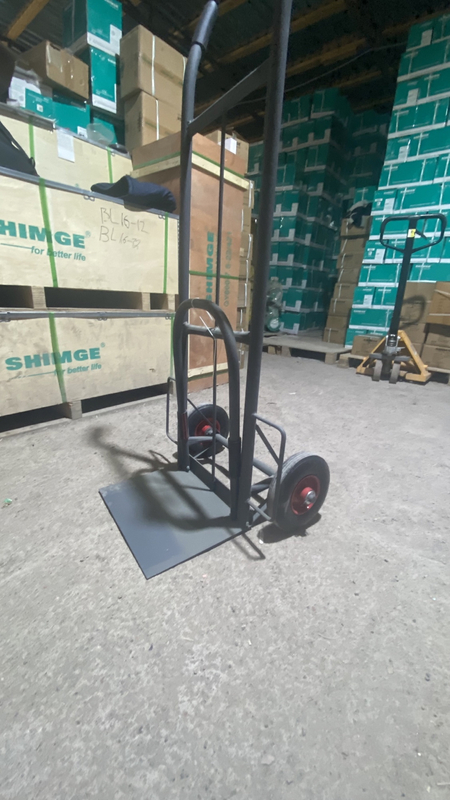 suv shlang delfin
