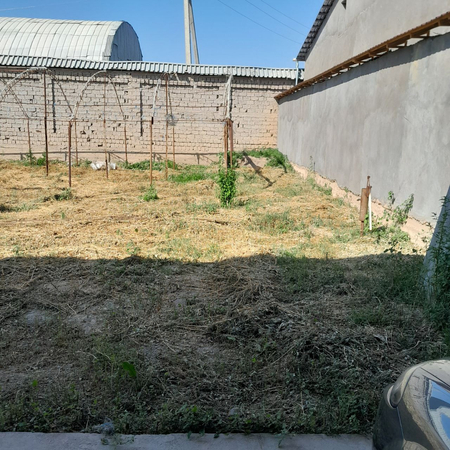 Xovli yer 3 sotix