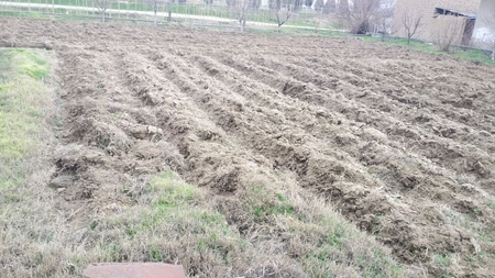 Quruq yer sotiladi sotik ⁵