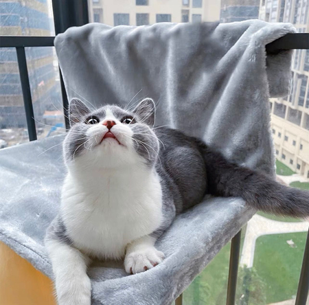 Гамак лежак для кошек.
