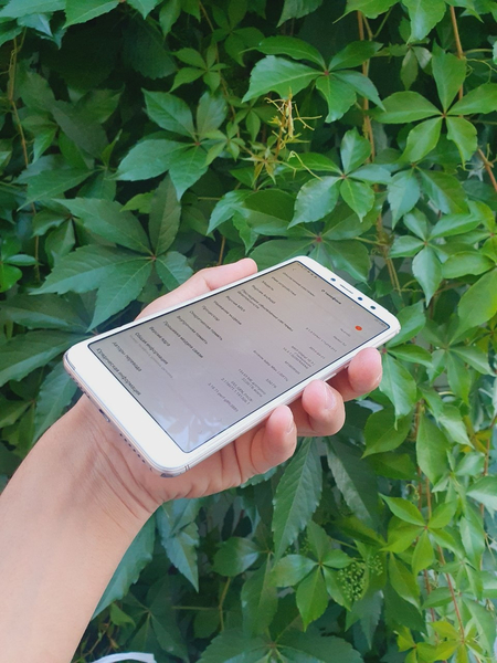 Redmi S2 sotiladi