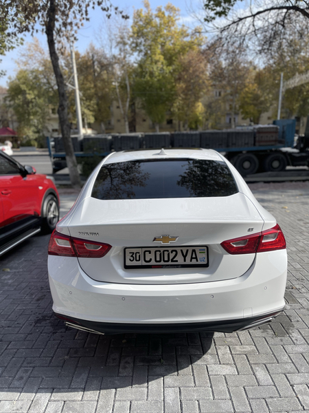 Malibu 2 oq 2.4
