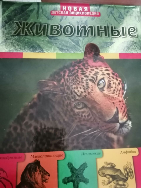 Книги для школьников