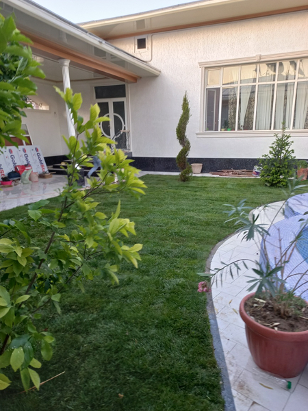 Gazon ekmoqchimisiz biz sizga yordam beramiz