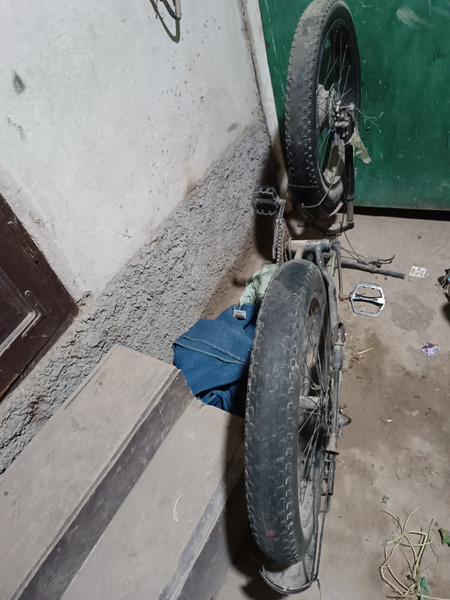 velomax balshoy shina