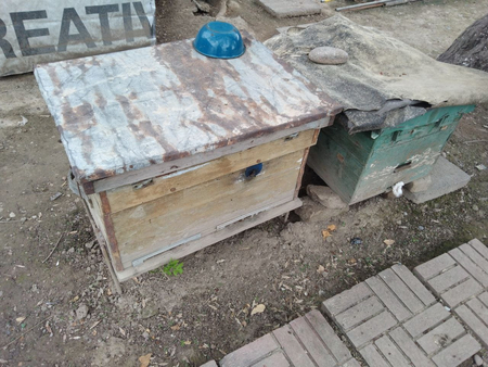 Продается пасека. asal arichilik sotiladi