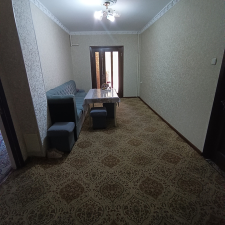 4xona dom, beltepa