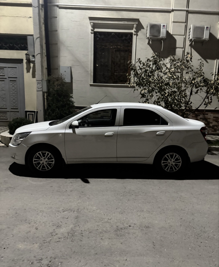 Cobalt arenda 2024/2025 new