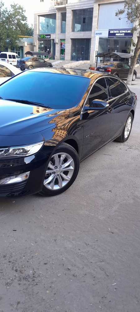 Malibu 2 primer 2021