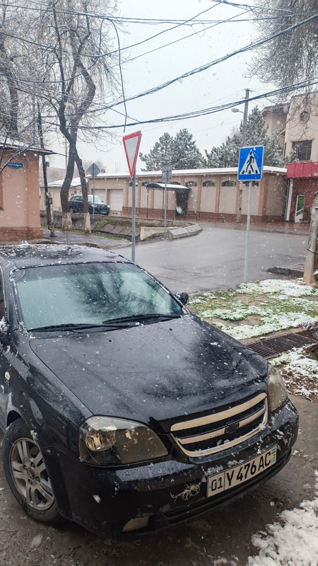 Лассети  Оптра. Корея.