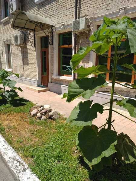 в аренду помещение 24 м2 в бизнес центре ориентир Корзинка вэропорт