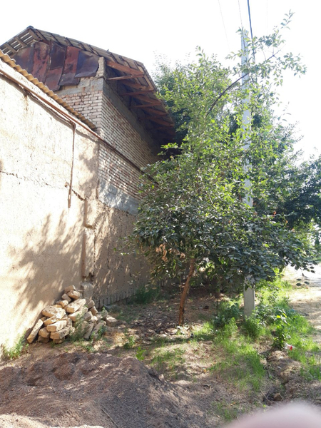 Dala hovli Ochiq maydon sharoitlari bor.
