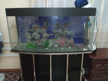 Akvarium sotiladi