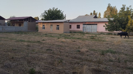 Янгиюльда Уй сотилади