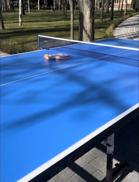 Профессиональный настольный теннис ITTF