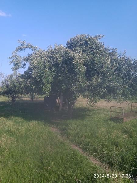 Qashqadaryo uy sotiladi