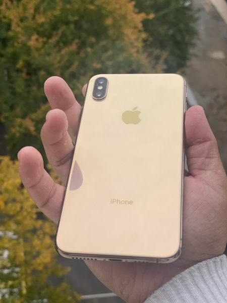 Xs max ideal srocna
