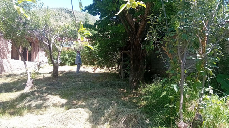 Dala hovli uchun yer SOTILADI.