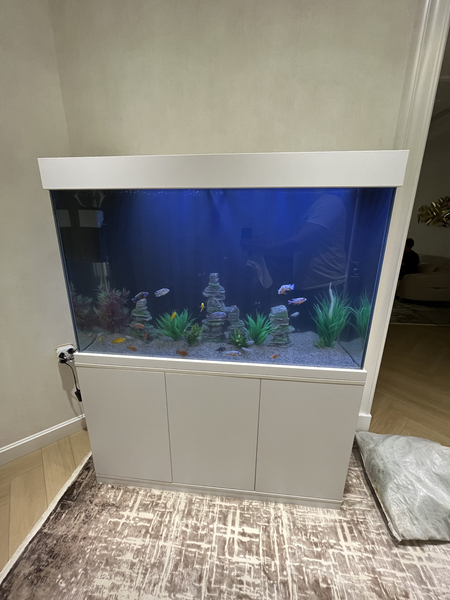 Akvarium Sifat-narx dan ustun