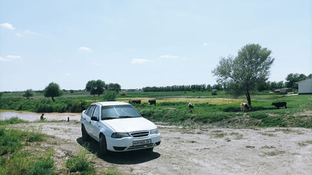 Nexia2 xolati yaxshi
