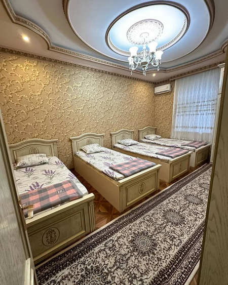 Dacha Elegant house