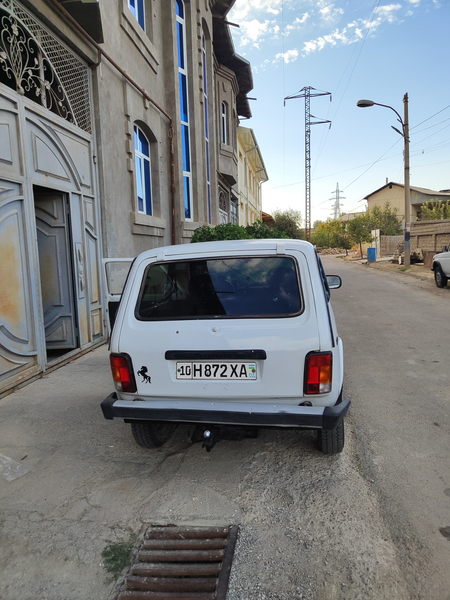 Нива сотлади.мэтан газ