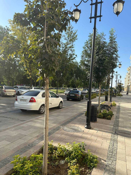 Аренда помещения ЖК Ташкент сити Бульвар  120м2