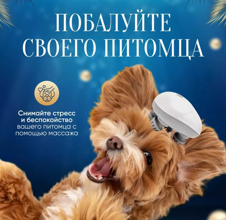 Многофункциональный массажер