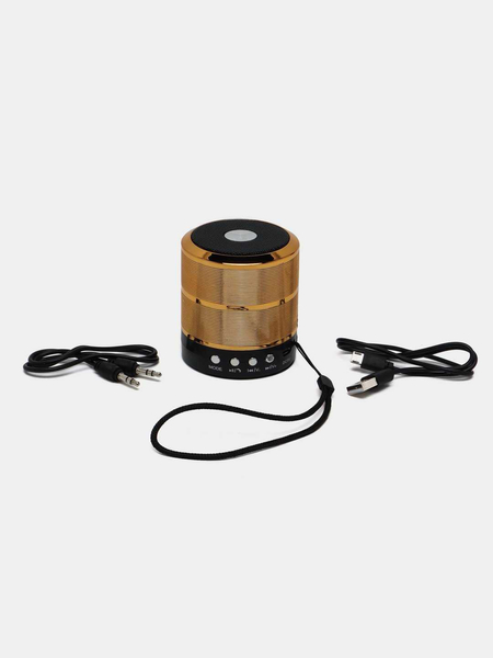 Портативная колонка Mini Speaker WS-887