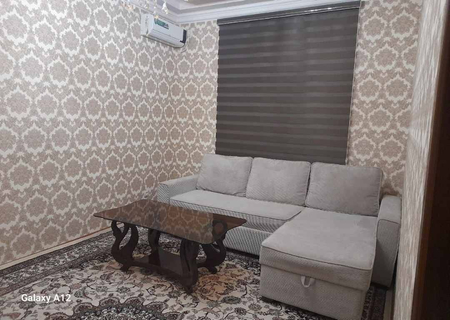 MirzoUlugbek Parkentsi 600$