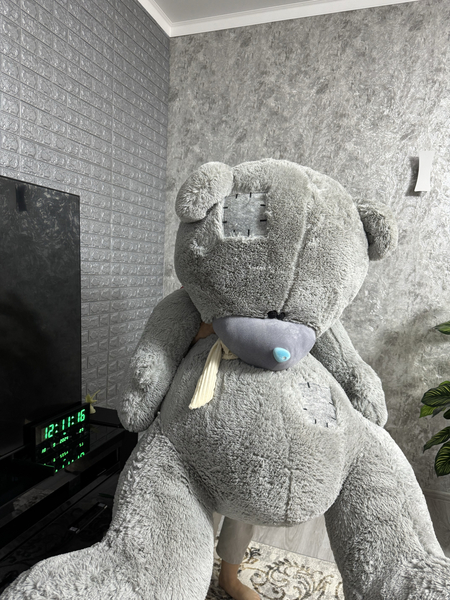 Плюшевый Мишка Teddy