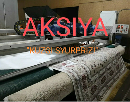 Professional gilam yuvish/стирка ковер Kuzgi Syurpriz AKSIYA