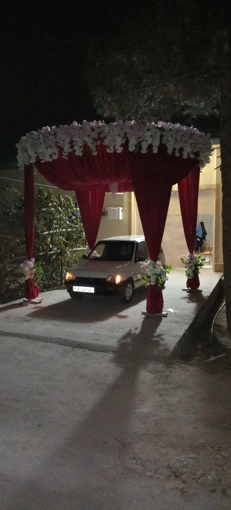 Tico sotiladi narmalni sastayana