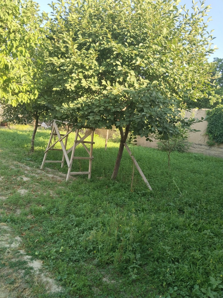 Quru yer 4 sotix
