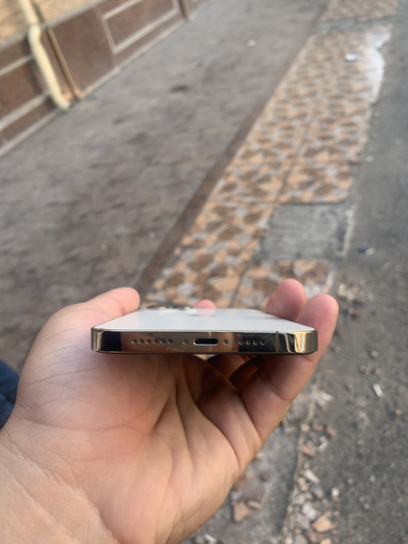 Iphone 12 pro max