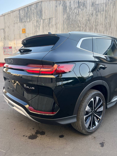 Byd song champion 2025 qora va oq