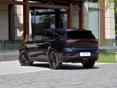 Gonzo Motors - BYD Tang Hybrid Champion