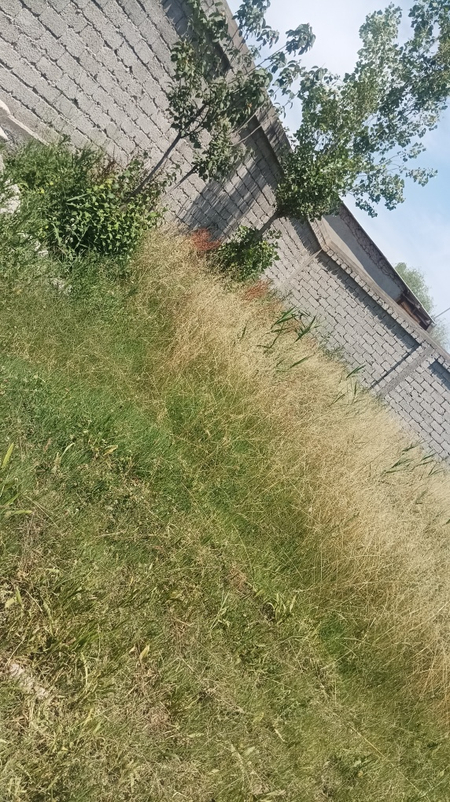 Yashash uchun uy kurush uchun er xavosi toza joylar shaxardan uncha uz
