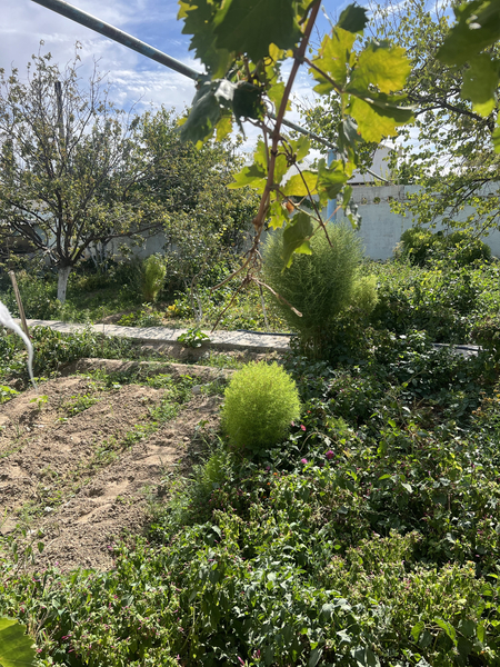 Dacha hovli 3 xonali katta xovli